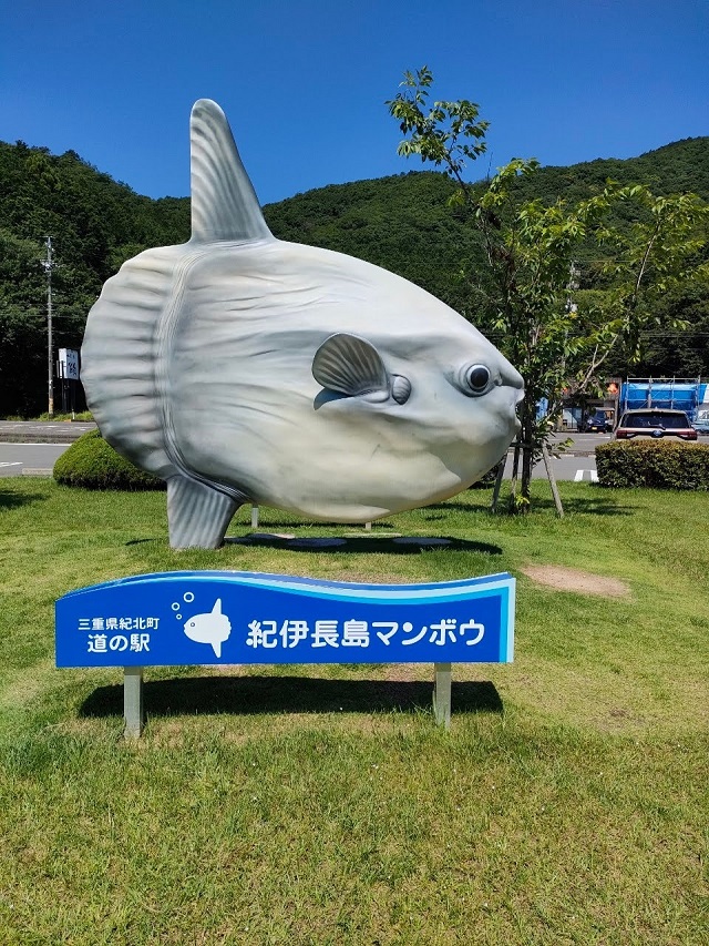 Road Station Kiinagashima manbou : A unique sea gourmet experience at a ...