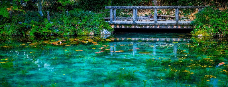 Monet’s Pond: A hidden gem of Seki City enchanted by natural beauty ...