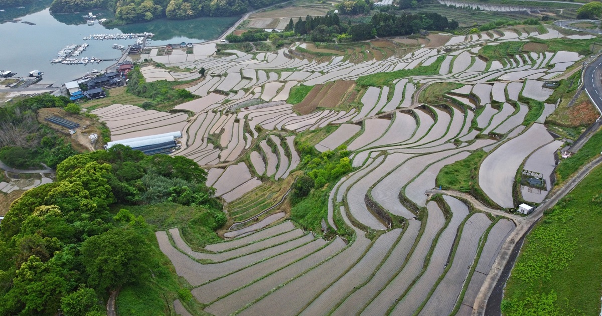 Oura Terraced Rice Fields: Agricultural scenery along the beautiful ...