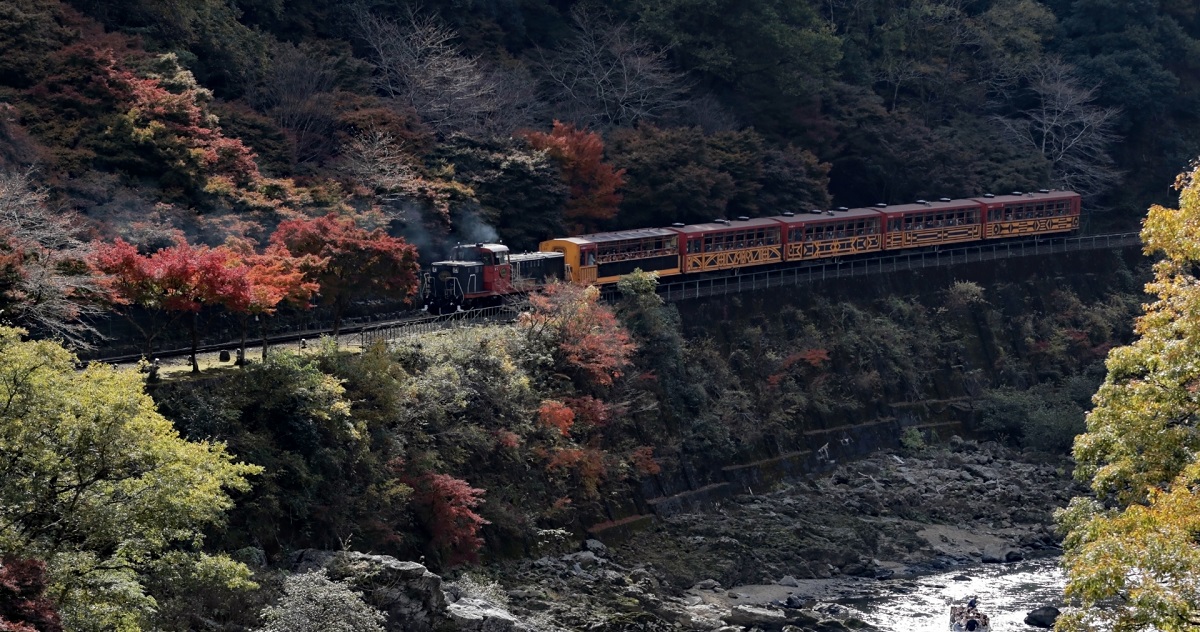 Sagano Torokko Train: Travel through beautiful scenery along the ...