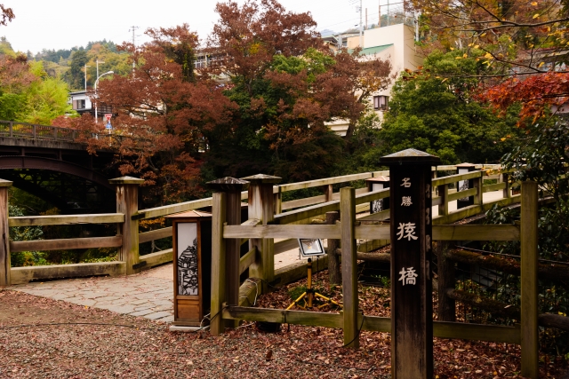 Saruhashi Bridge: Yamanashi’s Scenic Spot, Mysterious Hanebashi over ...
