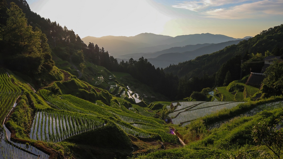 Izumidani Rice Terraces (Izumidani no Tanada): Beautiful rice field ...