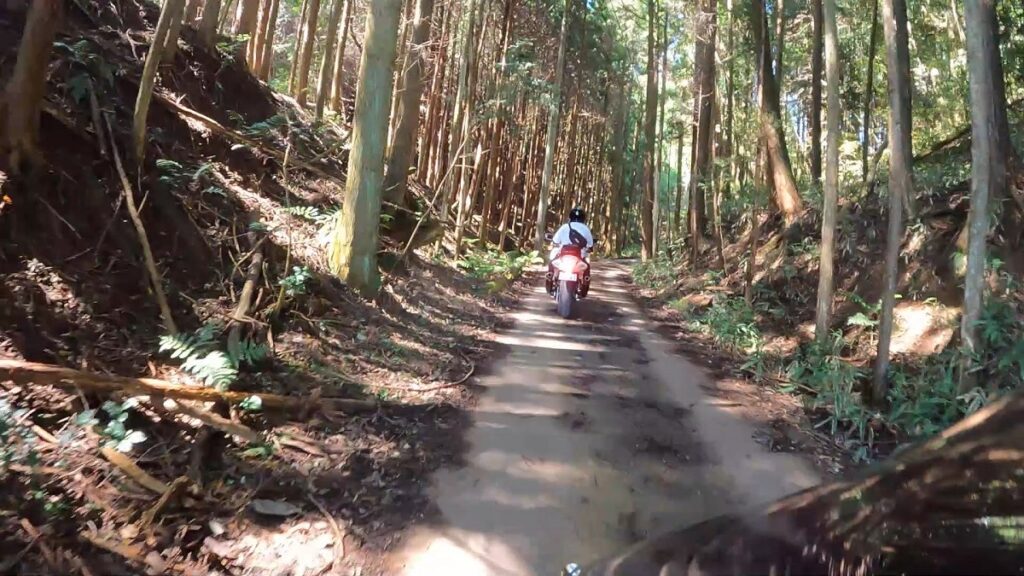 Okama (Zao): Charm and history of Goshikinuma, a hidden region in the ...