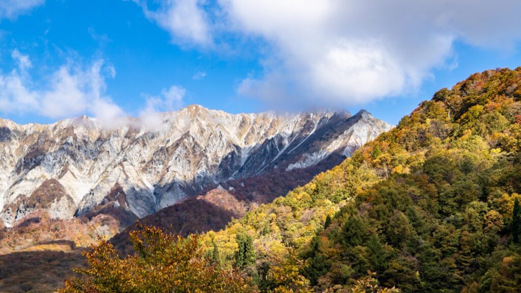 What are the specialties and popular menus of “Marukanville Daishokudo ...