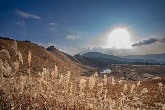 Soni Plateau: Be moved by the autumn scenery covered with pampas grass ...