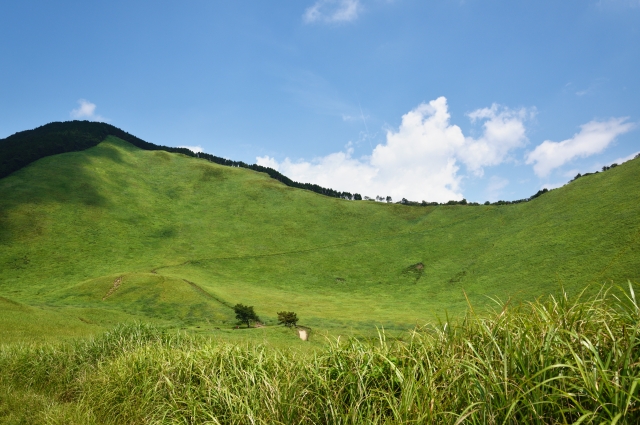 Soni Plateau: Be moved by the autumn scenery covered with pampas grass ...